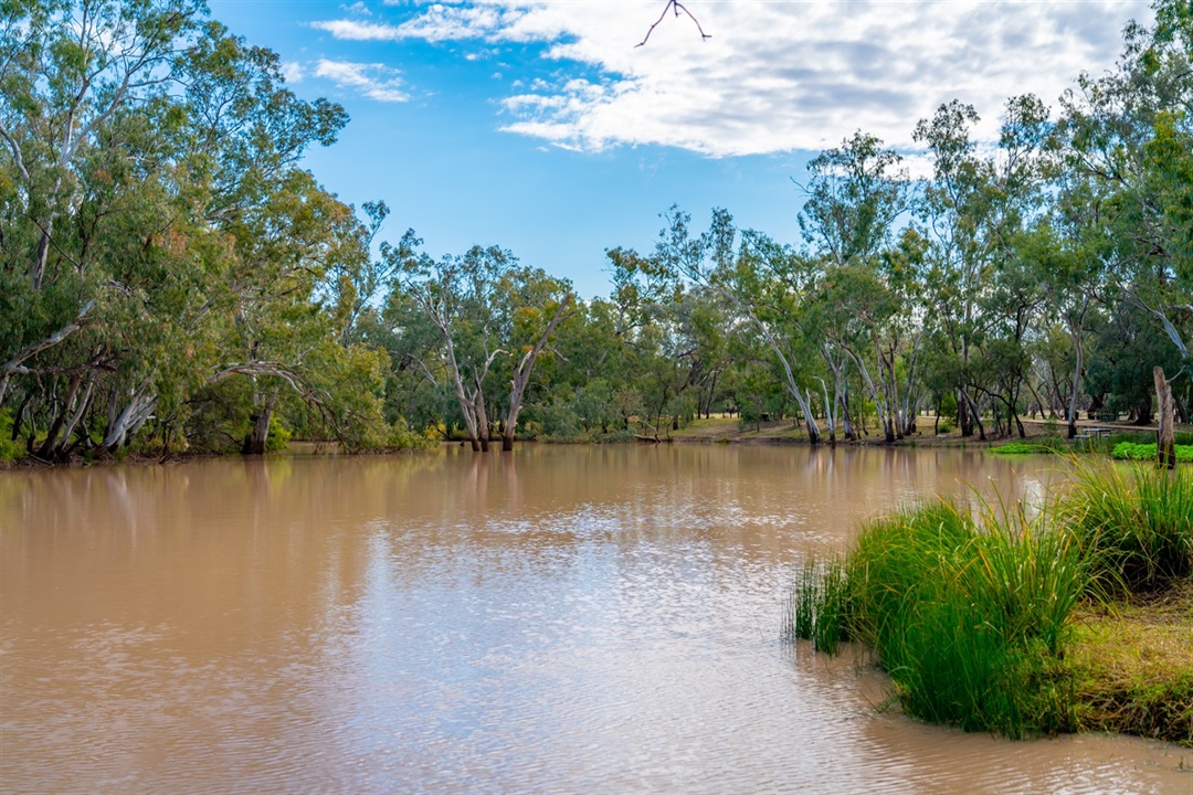 My Environment | Balonne Shire Council